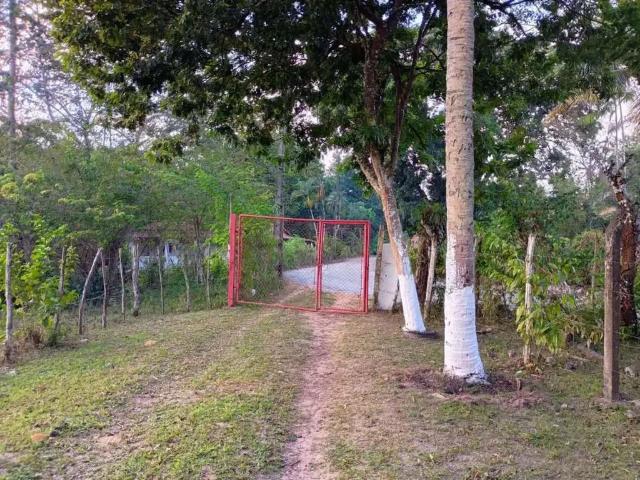 Fazenda para Venda em Camaçari/BA Monte Gordo