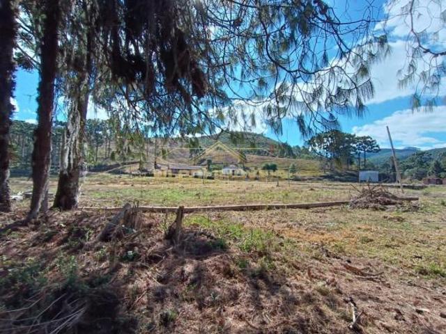 Fazenda para Venda em Camanducaia, Distrito de Monte Verde