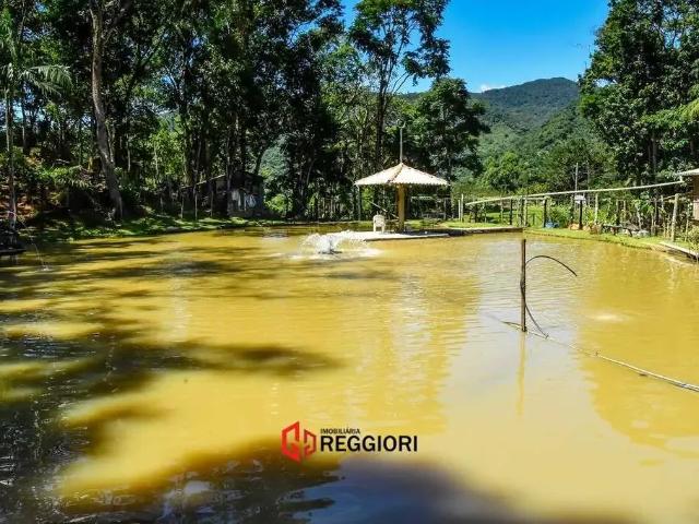 Fazenda para Venda em Camboriú/SC Área Rural de Camboriú