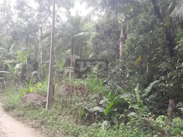 Fazenda para Venda em Camboriú/SC Braço 2 Quartos