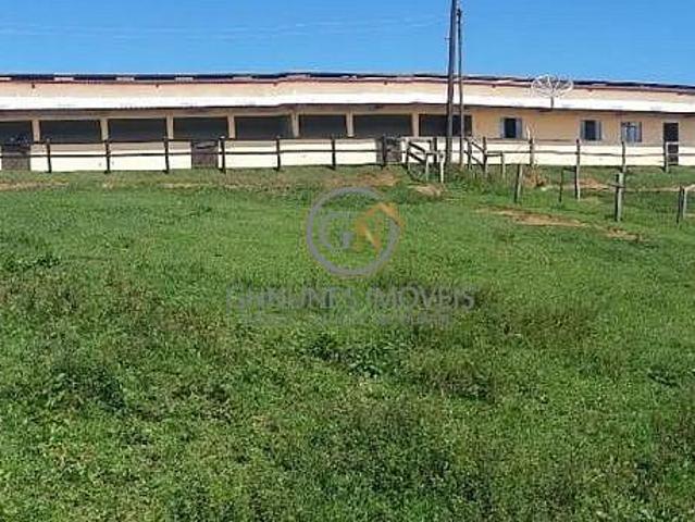 Fazenda para venda em Campo Alto, Tijucas do Sul