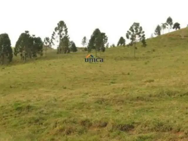 Fazenda para Venda em Campo Alegre/SC Centro