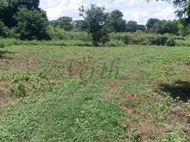 Fazenda para Venda em Campo Azul/MG Centro 4 Quartos