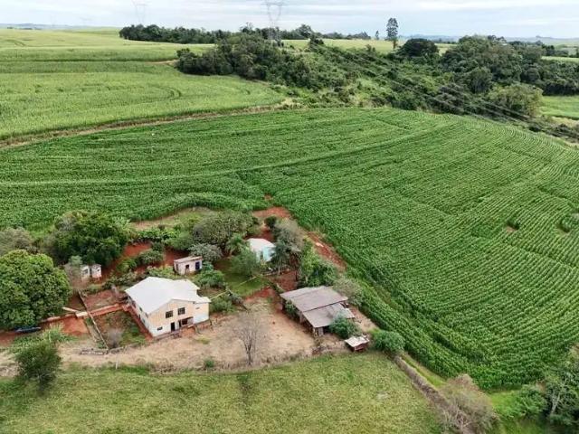 Fazenda para Venda em Campo Bonito/PR Zona Rural 2 Quartos