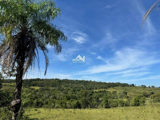 Fazenda para Venda em Campo Grande, Zona Rural de Campo Grande