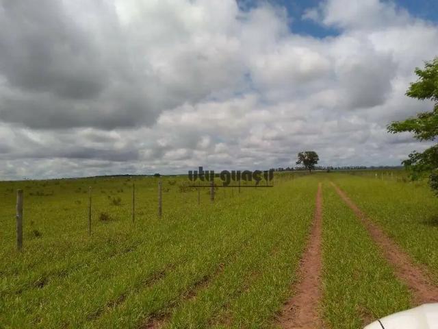 Fazenda para Venda em Campo Grande/MS Vila Margarida