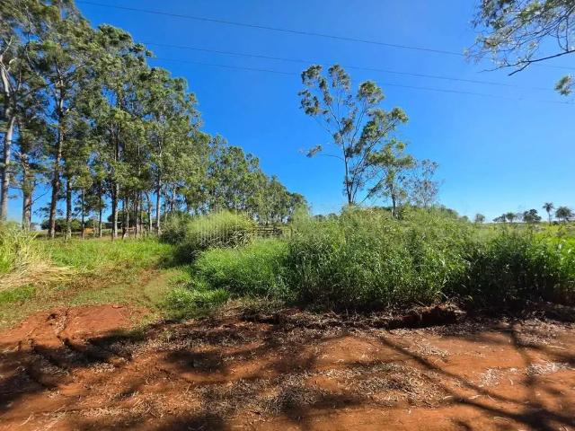 Fazenda para Venda em Campo Grande/MS Zona Rural