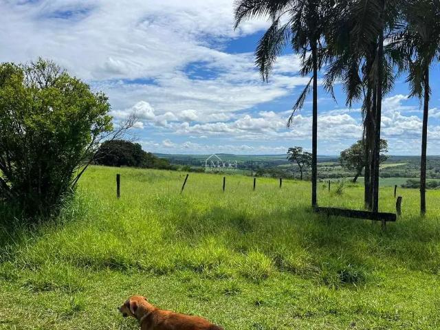 Fazenda para Venda em Campo Florido/MG Zona Rural 3 Quartos