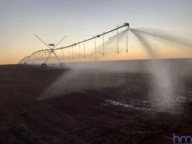 Fazenda para Venda em Campo Florido/MG Zona Rural