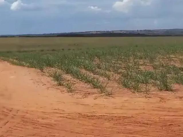 Fazenda para Venda em Campo Florido/MG Zona Rural