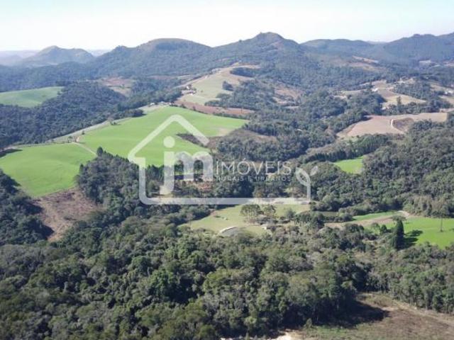 Fazenda para Venda em Campo Largo, Bateias, 2 dormitórios, 1 banheiro