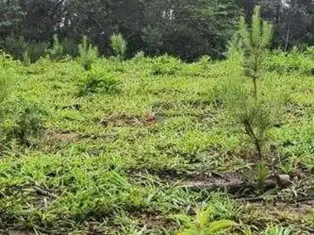 Fazenda para Venda em Campo Largo/PR Três Córregos 1 Quartos