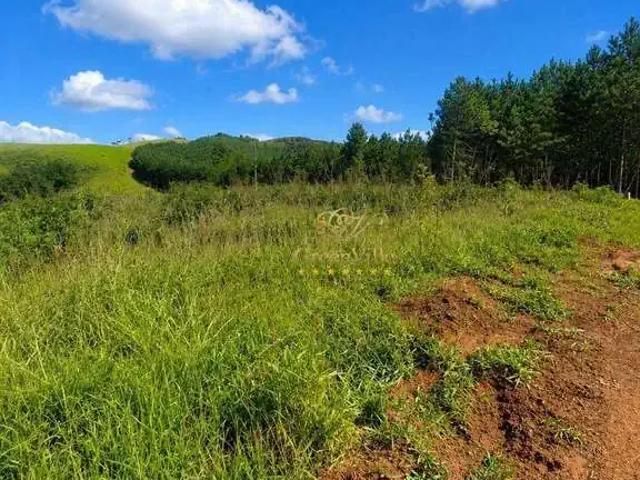Fazenda para Venda em Campo Largo/PR Bateias 1 Quartos