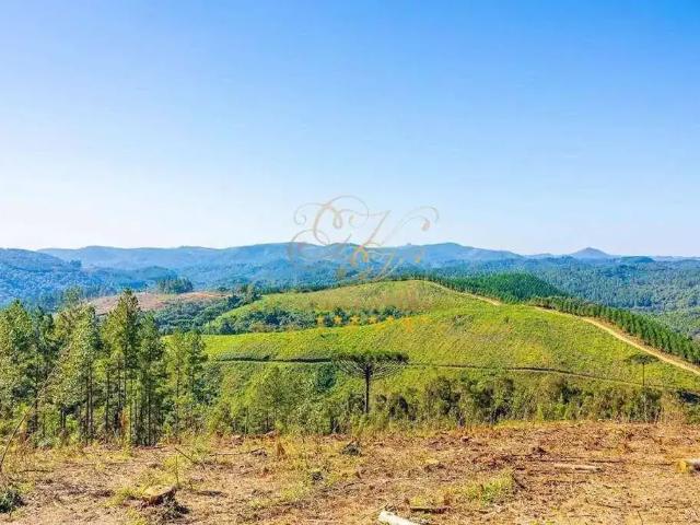 Fazenda para Venda em Campo Largo/PR Bateias 1 Quartos