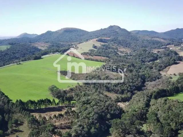 Fazenda para Venda em Campo Largo/PR Bateias 2 Quartos
