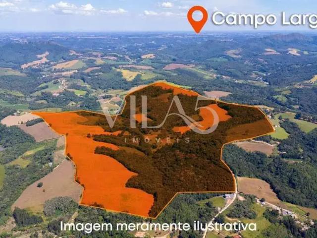 Fazenda para Venda em Campo Largo/PR Bateias