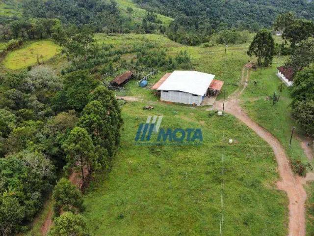 Fazenda para Venda em Campo Largo/PR Centro 3 Quartos