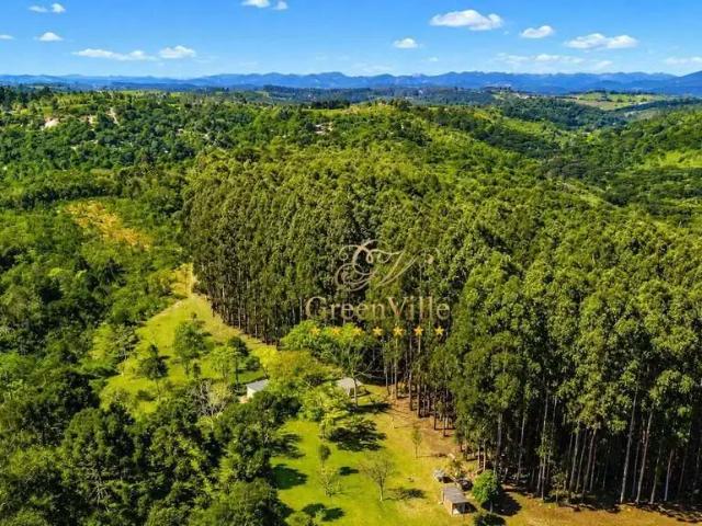 Fazenda para Venda em Campo Largo/PR São Caetano