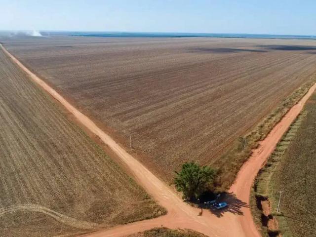 Fazenda para Venda em Campo Novo do Parecis/MT Zona Rural