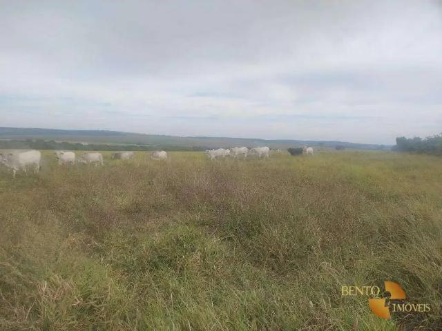 Fazenda para Venda em Campo Verde/MT Zona Rural