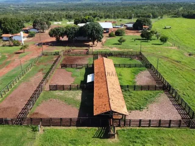 Fazenda para Venda em Campo Verde/MT Zona Rural 8 Quartos