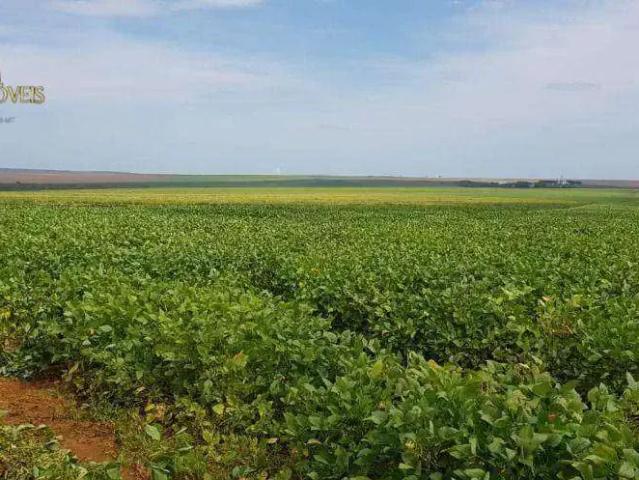 Fazenda para Venda em Campo Verde/MT Centro