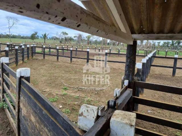 Fazenda para Venda em Campos Altos/MG Zona Rural 6 Quartos