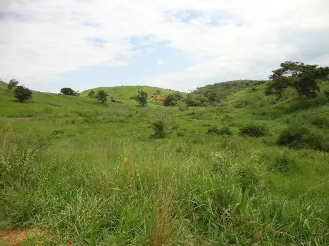 Fazenda para Venda em Campos dos Goytacazes/RJ Centro