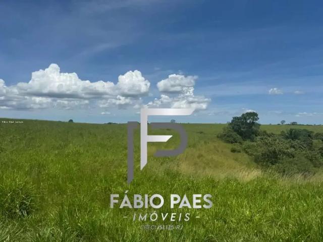 Fazenda para Venda em Campos dos Goytacazes/RJ Área Rural de Campos dos Goytacazes 2 Quartos