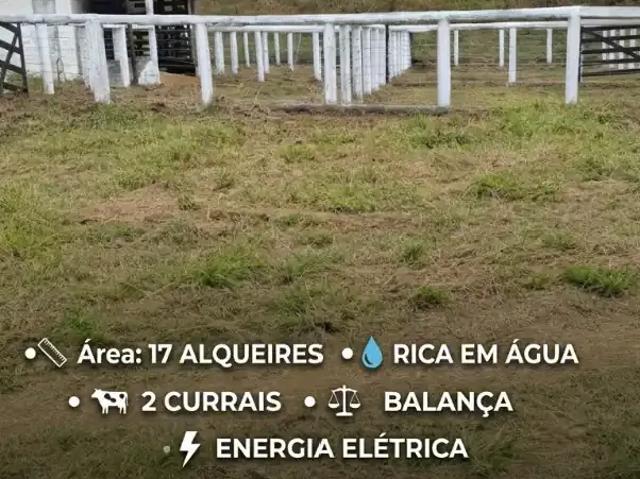 Fazenda para Venda em Campos dos Goytacazes/RJ Morro do Coco