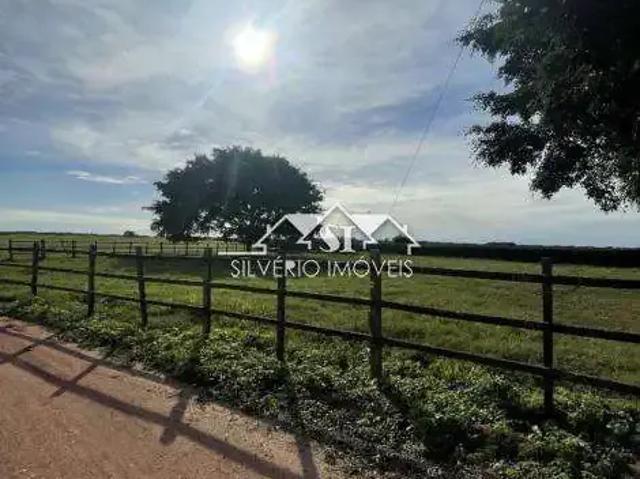 Fazenda para Venda em Campos dos Goytacazes/RJ Santo Amaro de Campos 3 Quartos