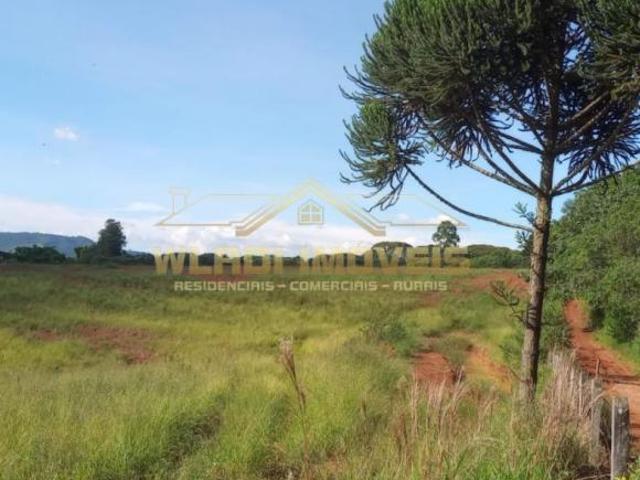 Fazenda para Venda em Campanha, 4 km da Rodovia Fernão Dias