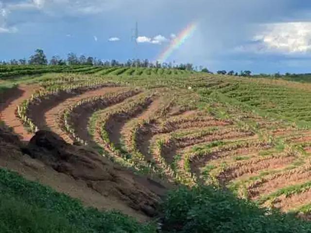 Fazenda para Venda em Campanha/MG Zona Rural 2 Quartos