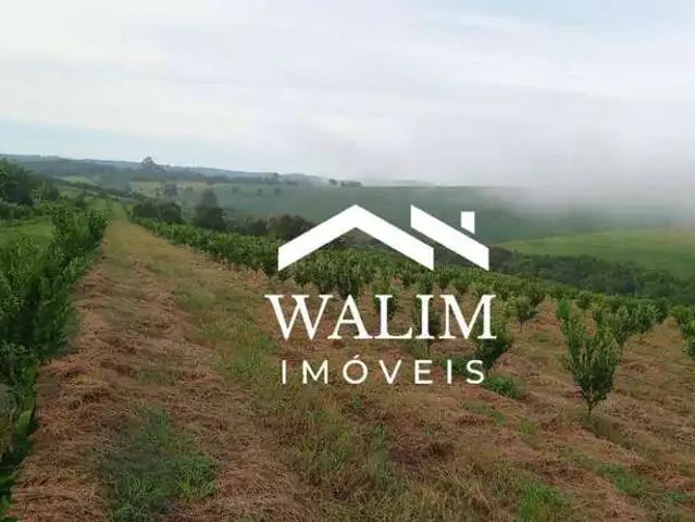 Fazenda para Venda em Campanha/MG Zona Rural 3 Quartos