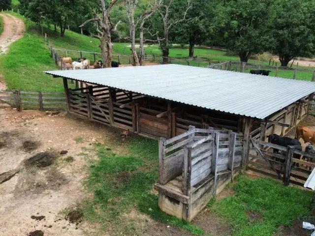 Fazenda para Venda em Campinaçu/GO Setor Central 2 Quartos