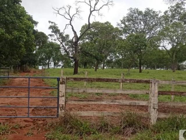 Fazenda para venda em Campina Verde