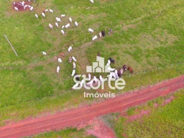 Fazenda para venda em Campina Verde