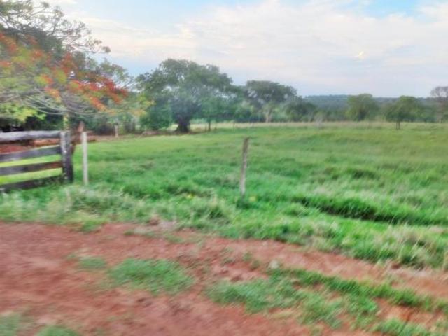 Fazenda para Venda em Campina Verde, Zona Rural