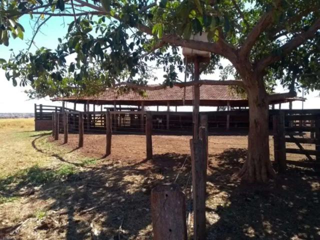 Fazenda para Venda em Campina Verde/MG Zona Rural 3 Quartos
