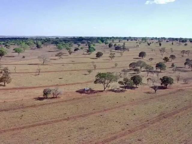 Fazenda para Venda em Campina Verde/MG Zona Rural