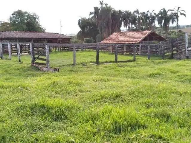 Fazenda para Venda em Campina Verde/MG Zona Rural