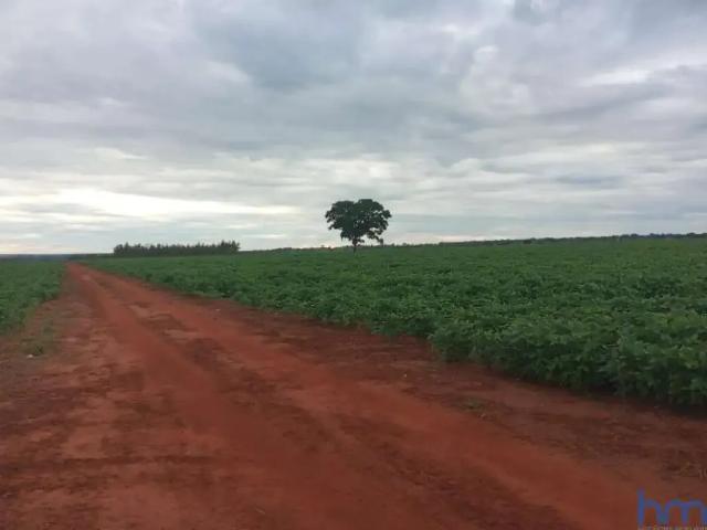 Fazenda para Venda em Campina Verde/MG Zona Rural