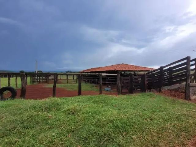 Fazenda para Venda em Campina Verde/MG Zona Rural