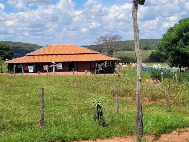 Fazenda para Venda em Campina Verde/MG Zona Rural