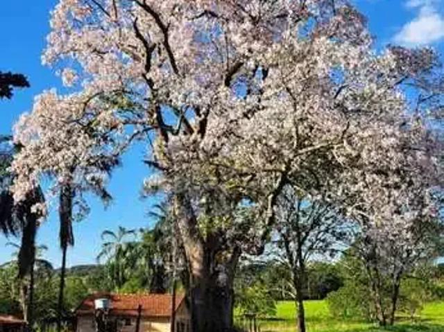 Fazenda para Venda em Campina Verde/MG Zona Rural