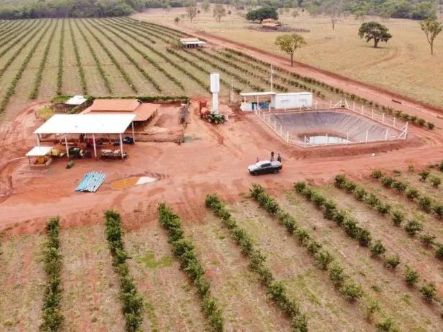 Fazenda para Venda em Campina Verde/MG Zona Rural