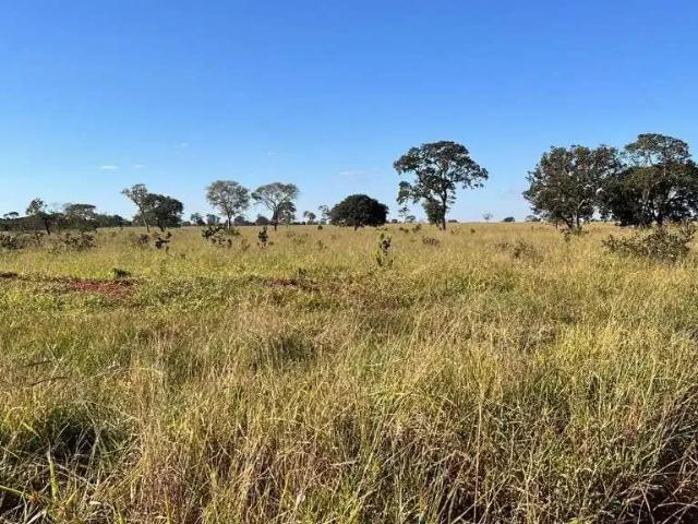 Fazenda para Venda em Campina Verde/MG Zona Rural