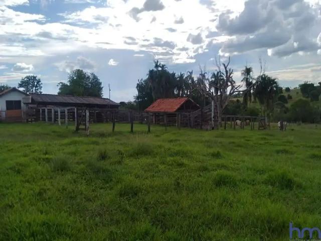 Fazenda para Venda em Campina Verde/MG Zona Rural