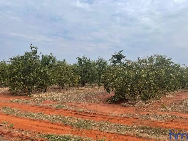 Fazenda para Venda em Campina Verde/MG Zona Rural