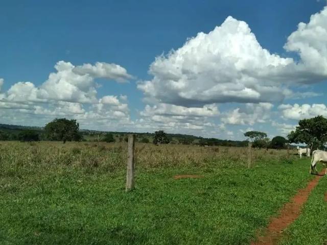 Fazenda para Venda em Campina Verde/MG Zona Rural